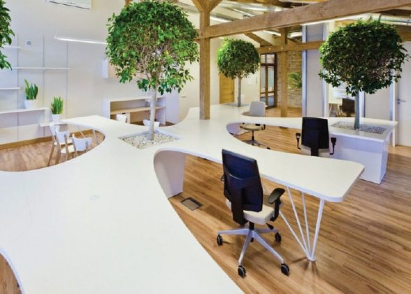 The Corporate Edge: Can Adding Greenery to the Workplace Improve ...