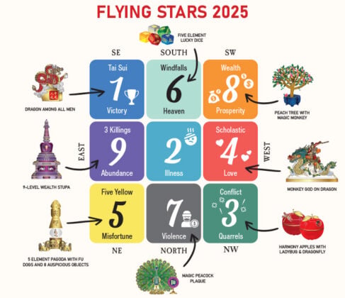 Flying Star Chart of 2025 - WOFS.com